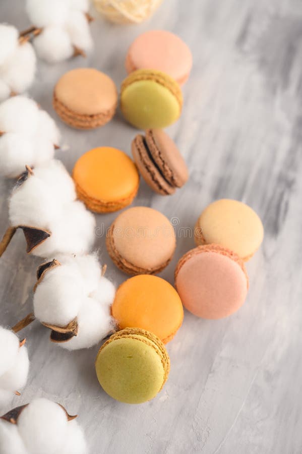 Colored French Macaroons, Sweets with Cotton Branches. Vertical Frame ...