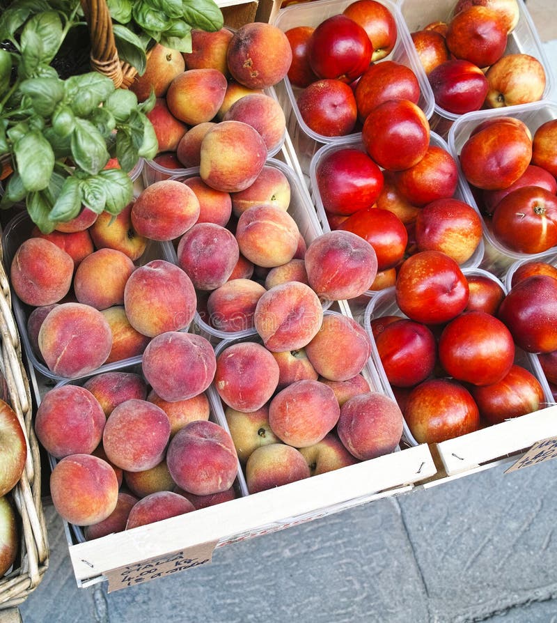 Colored fruit stock photo. Image of attraction, food - 40891634