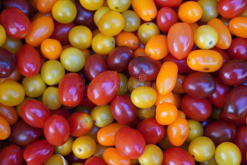Colored Grapes with Various Colours Stock Image - Image of beautiful ...