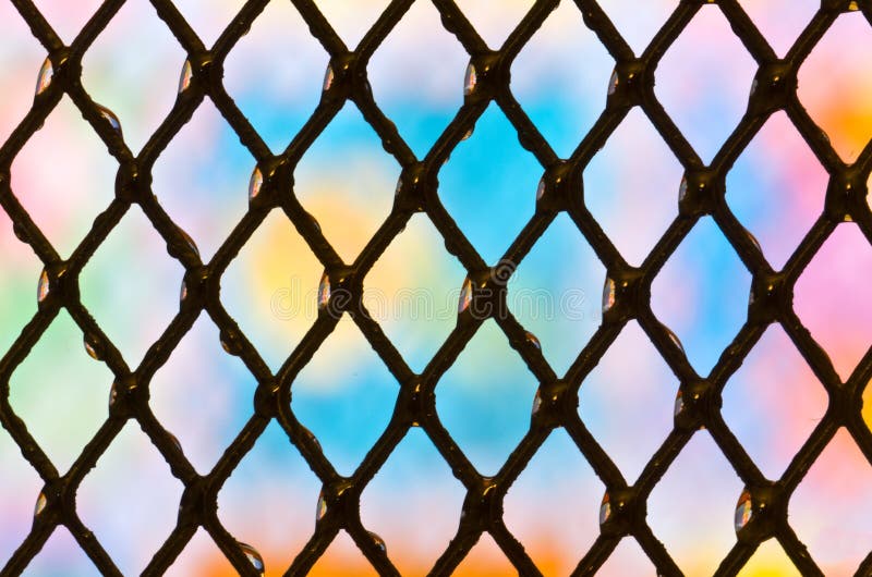 Colored grid texture stock photo. Image of texture, design - 23515300