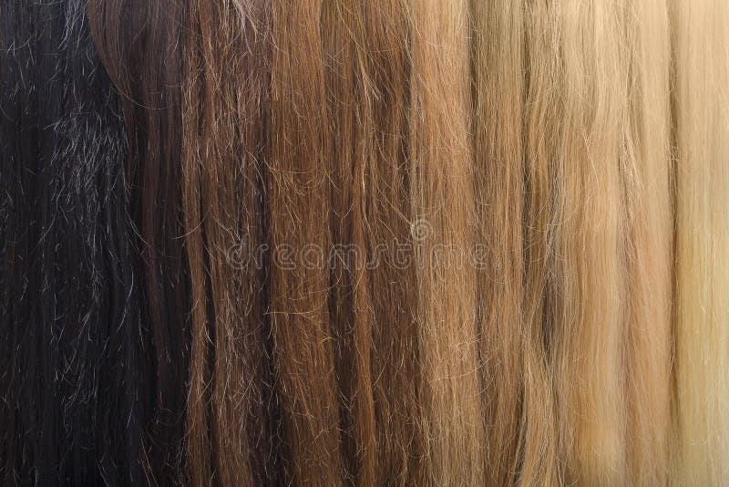 Colored Hair Samples for Female Wig Stock Image - Image of female, hair ...