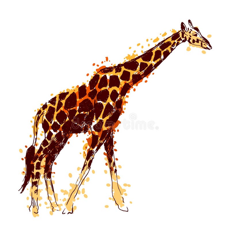 Colored Hand Drawing Giraffe Stock Vector - Illustration of horizontal ...