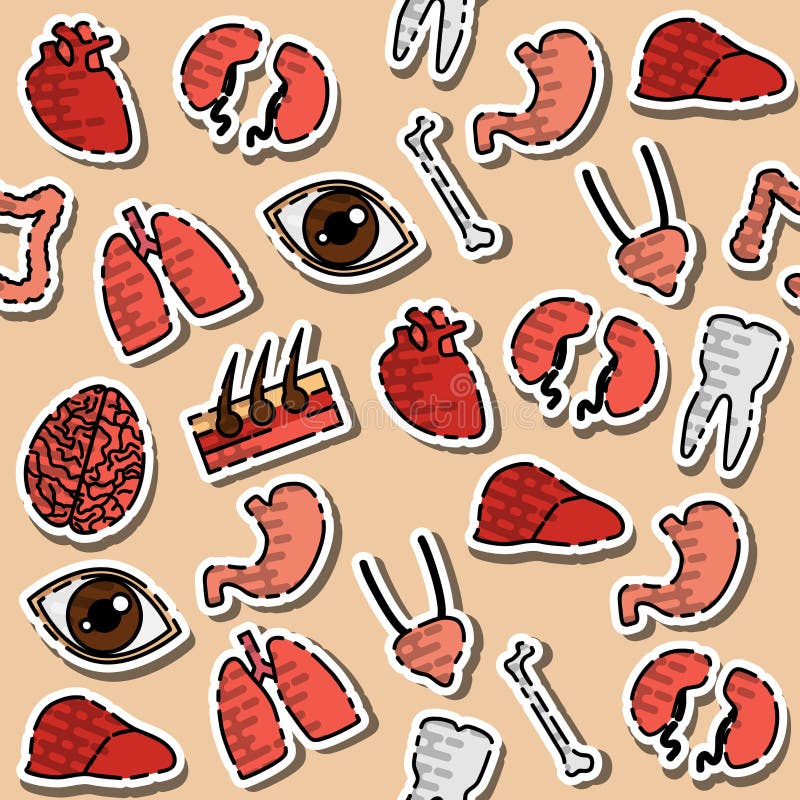 Human Organs Flat Concept Icons Stock Vector - Illustration of flat ...
