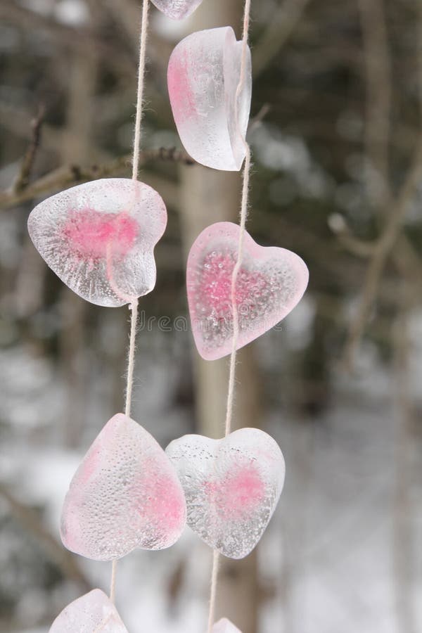 Ice Hearts on a String Hanging from the Tree Stock Photo - Image of ...