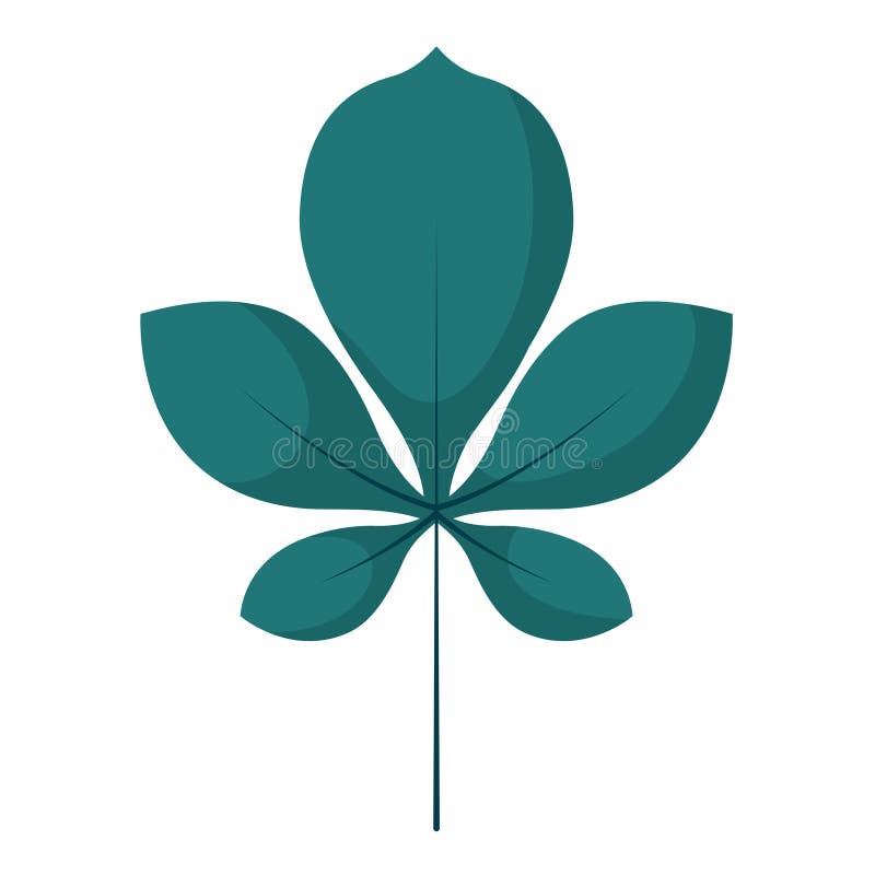 Colored Icon of a Leaf Vector Stock Vector - Illustration of colorful ...