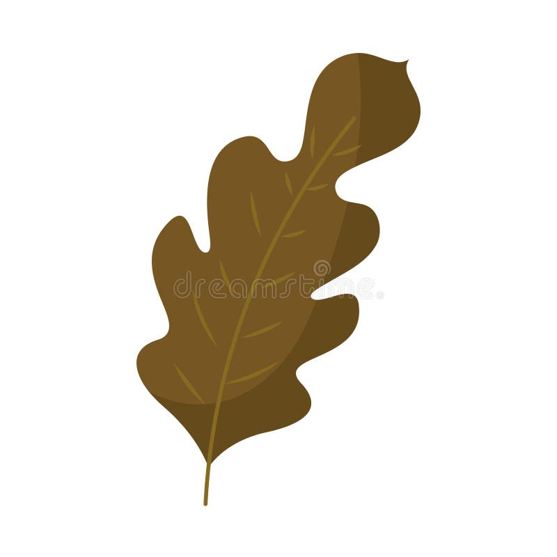 Colored Icon of a Leaf Vector Stock Vector - Illustration of color ...