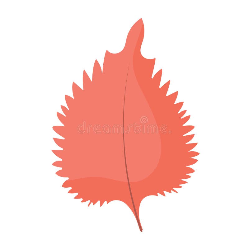 Colored Icon of a Leaf Vector Stock Vector - Illustration of tree, sign ...