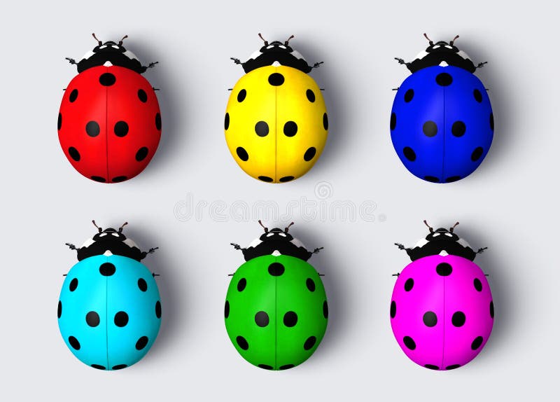 Red Ladybug Top View Stock Illustrations – 132 Red Ladybug Top View ...