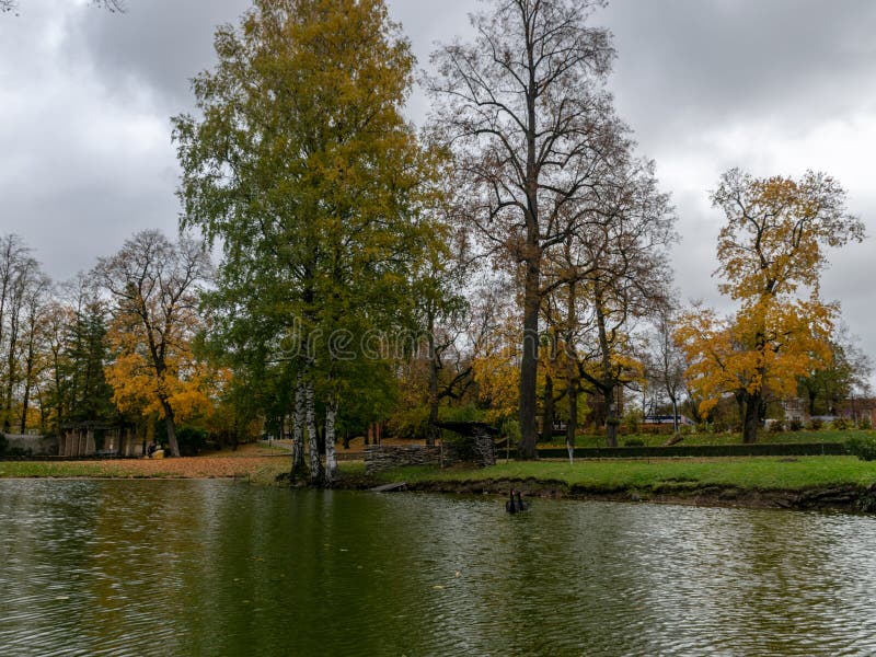 Landscape with Colorful Trees Near the Pond Stock Image - Image of ...