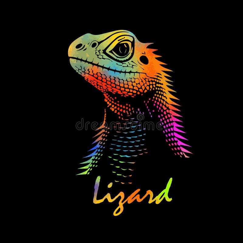 Vector Drawing Lizard Stock Illustrations – 16,894 Vector Drawing ...