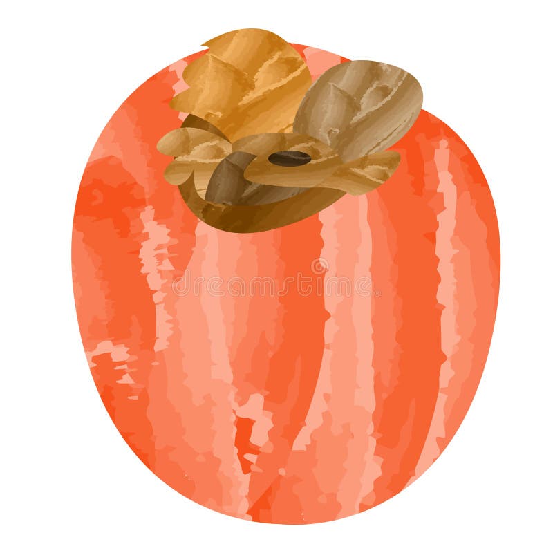 Lulo Fruit Stock Illustrations – 80 Lulo Fruit Stock Illustrations ...