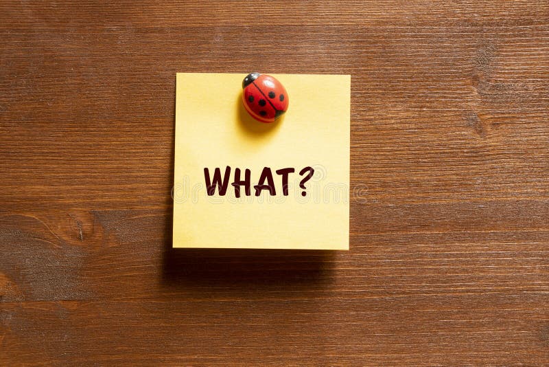 The word what stock image. Image of education, design - 168121535