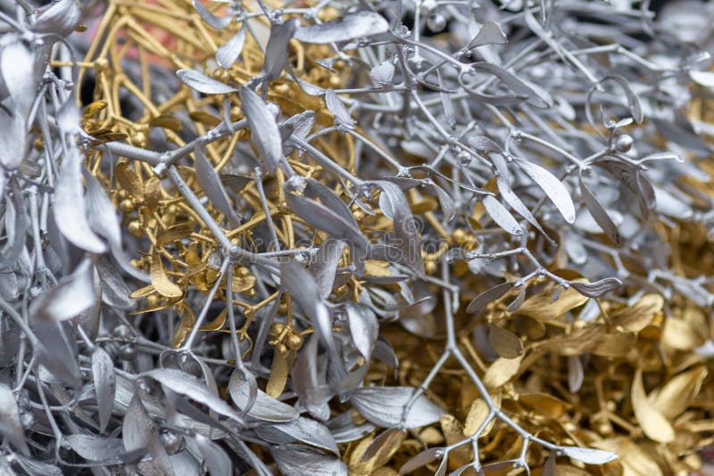 Colored mistletoe stock photo. Image of green, natural - 167254152