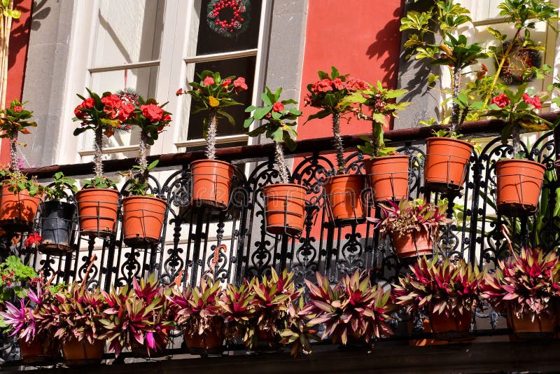 Colored Modern Building Windows in Las Palmas Stock Photo - Image of ...
