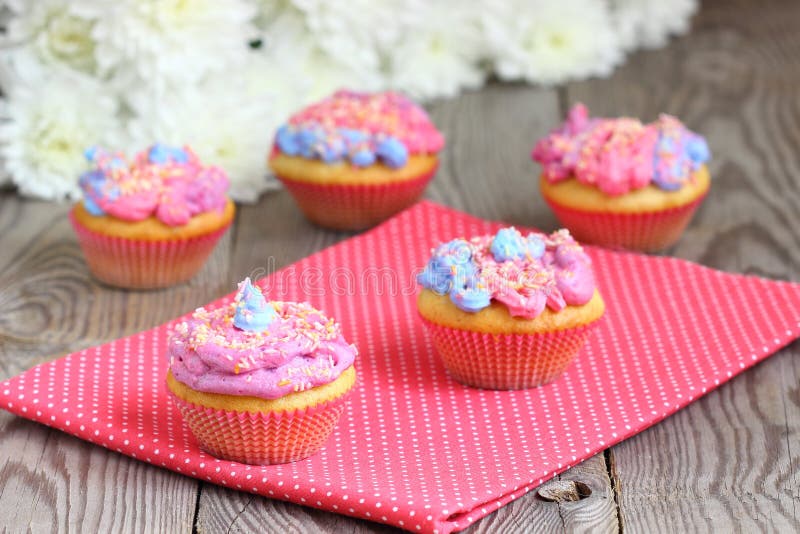 272 Bright Colored Muffins Stock Photos - Free & Royalty-Free Stock ...