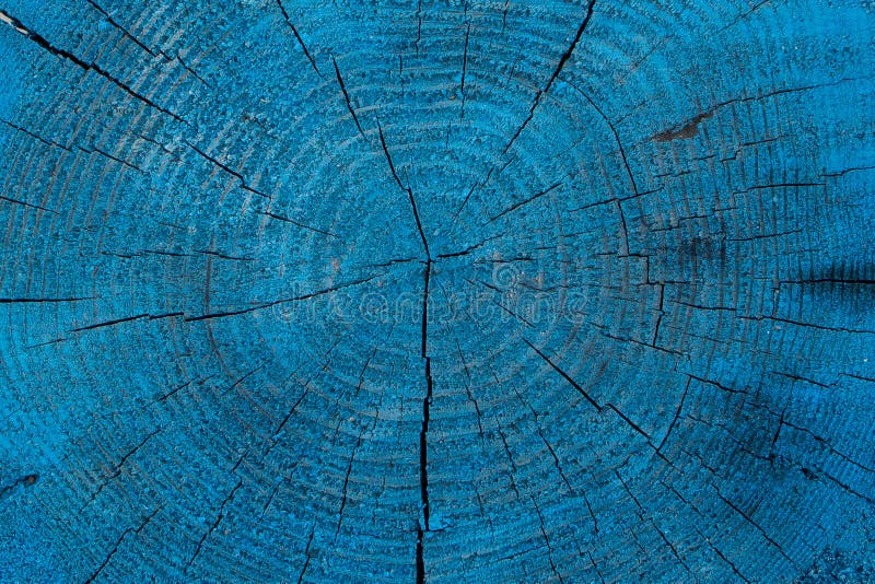 Colored Old Log Annual Ring Stock Photos - Free & Royalty-Free Stock ...