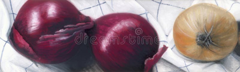 Colored onions stock illustration. Illustration of market - 28074171