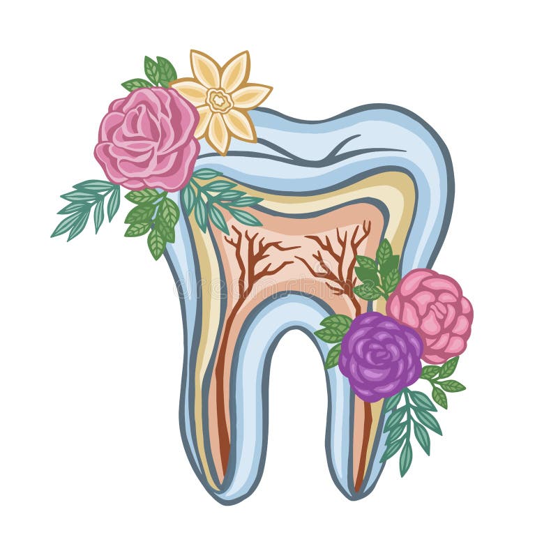 Colored Oral Flora, Tooth, Vector Stock Vector - Illustration of ...