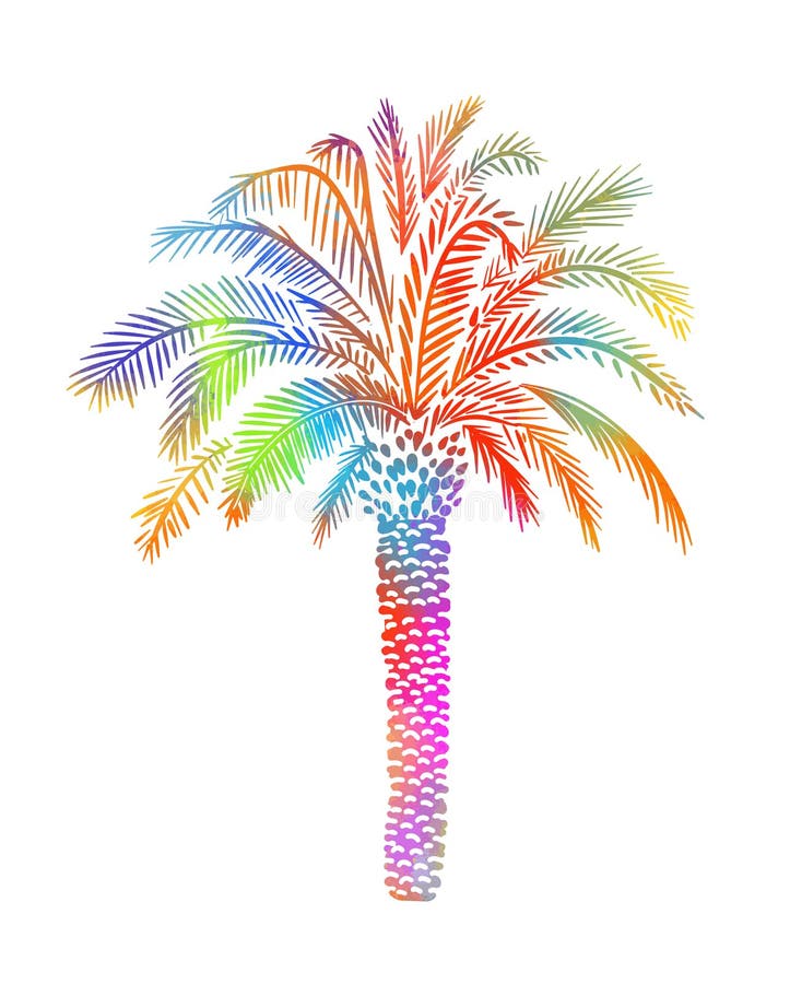 Colored Palm Tree. Hand Drawn Stock Vector - Illustration of saturated ...