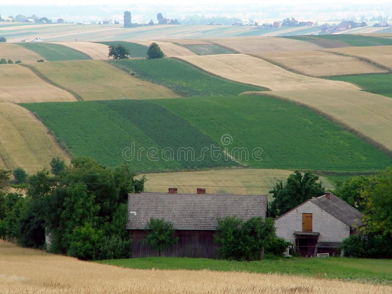 The Colored Patchwork Fields of Patch on the Hills Stock Photo - Image ...