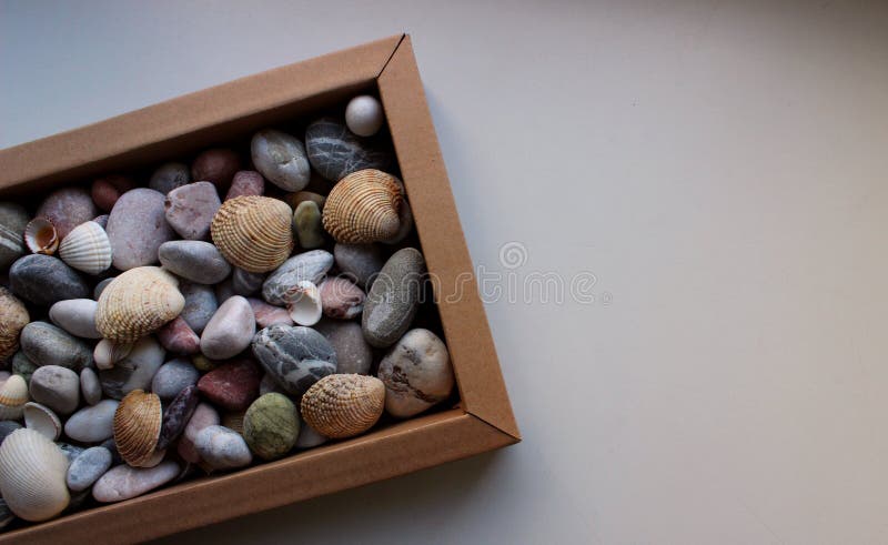 Colored Pebbles and Shells in a Gift Box on a Side of Image Stock Image ...