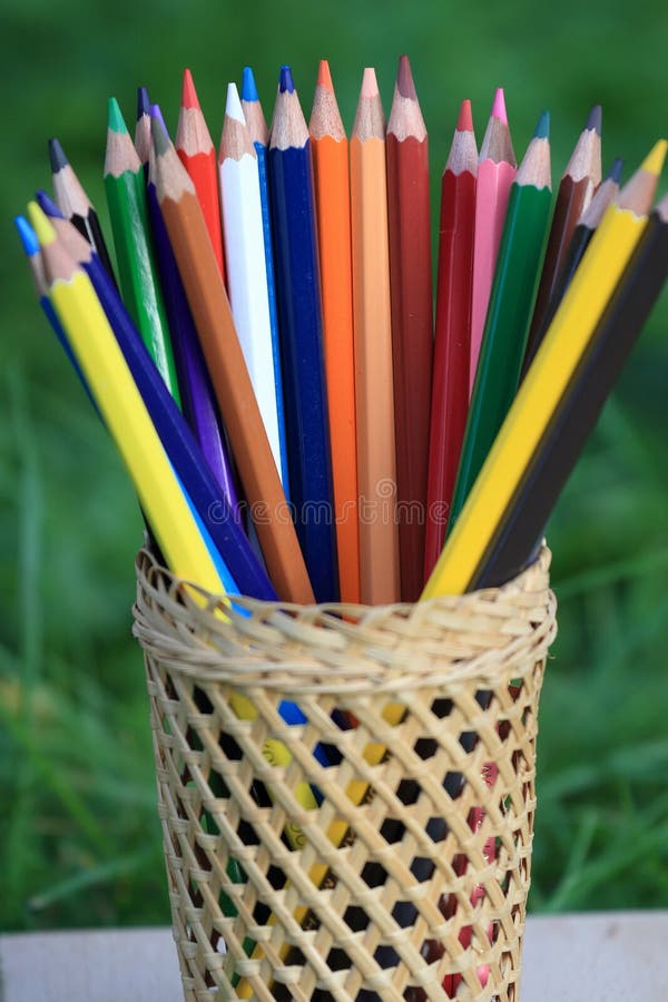 Colored Pencils with a Basket of Knowledge on the Grass Stock Image ...