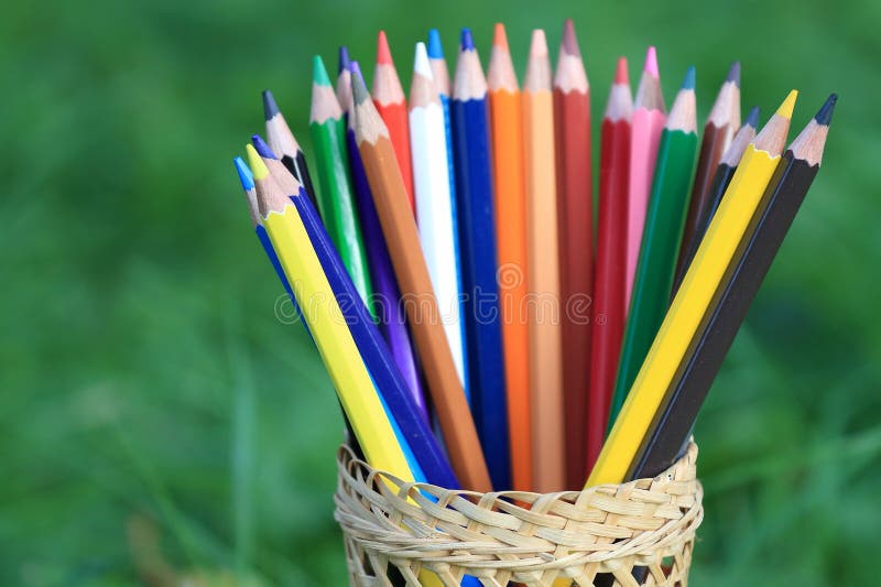 Colored Pencils with a Basket of Knowledge on the Grass Stock Photo ...