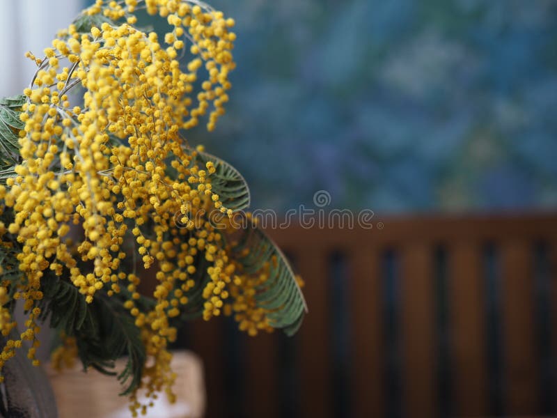Colored Pencils are in a Glass on the Table in a Creative Mess Stock ...