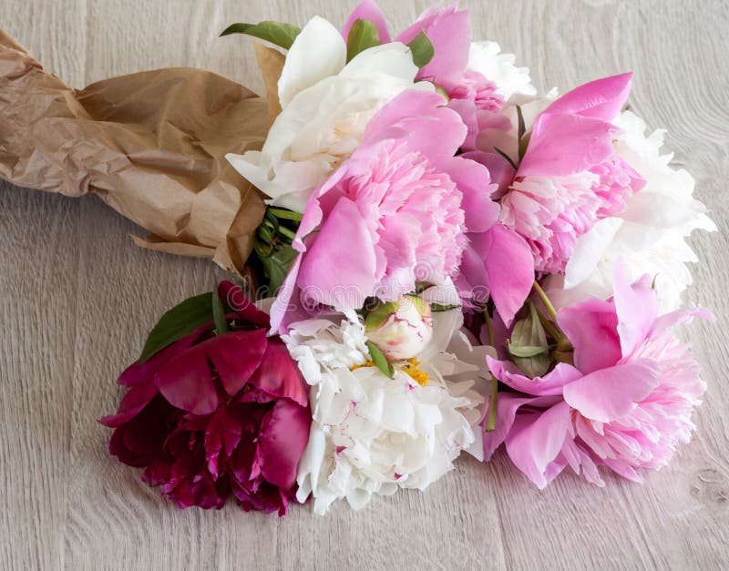 Colored peonies background stock photo. Image of bouquet - 93785360