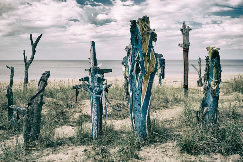Colored Pieces of Tree Trunks Cast Ashore on the Baltic Beach Stock ...
