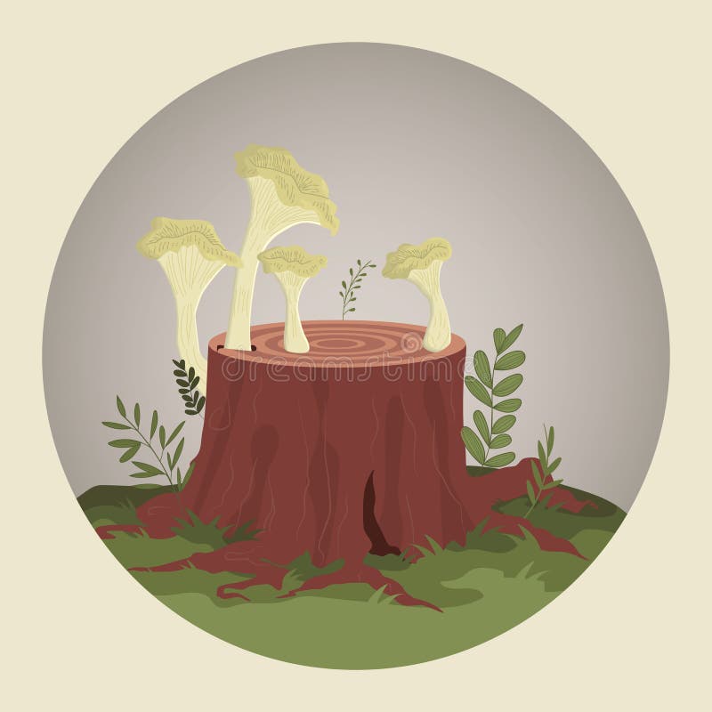 Colored Realistic Mushroom on Log Vector Stock Vector - Illustration of ...