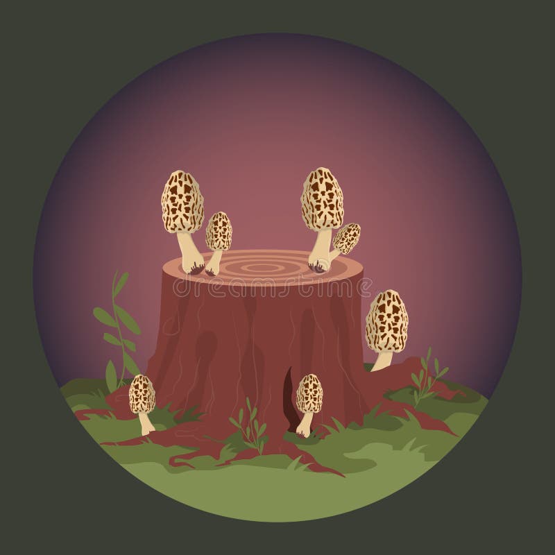 Colored Realistic Mushroom on Log Vector Stock Illustration ...