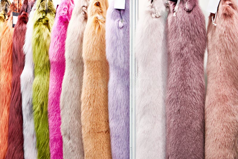 Colored Samples of Natural Fur in Store Stock Image - Image of retail ...