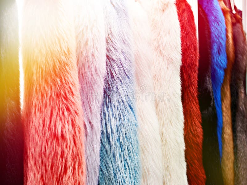 Colored Samples of Natural Fur in Store Stock Photo - Image of ...