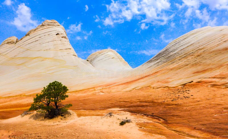 Colored Sandstone Waves stock photo. Image of domes, hiking - 94887320