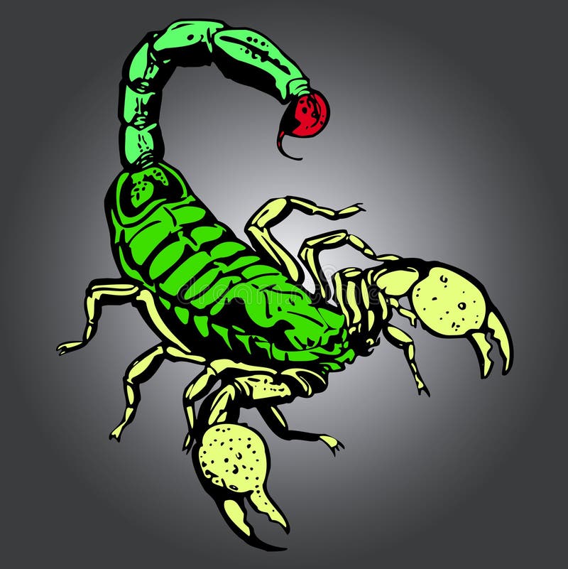 Scorpion Picture. Image: 4231531