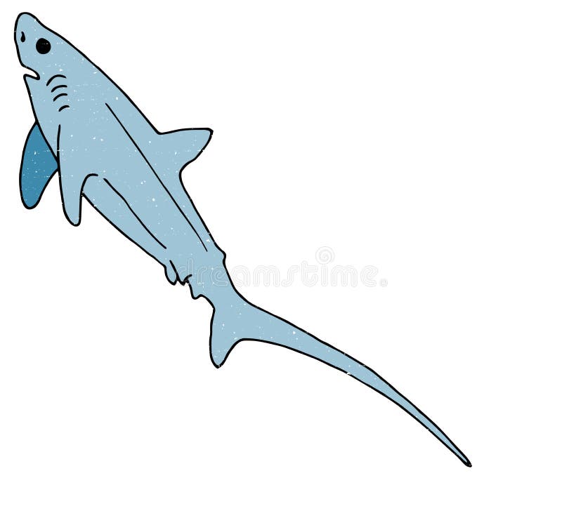 Set of Colored Shark Illustration Stock Illustration - Illustration of ...