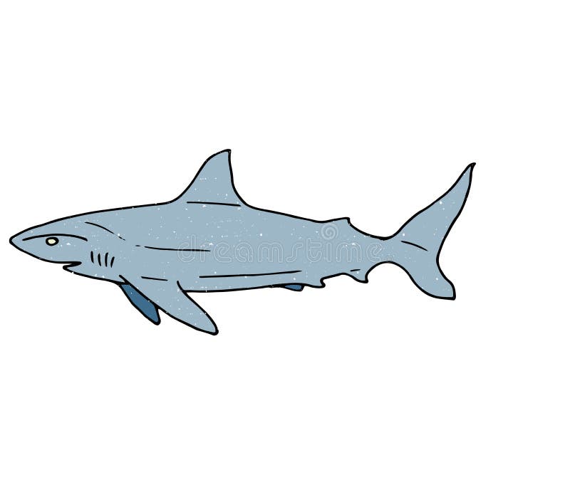 Set of Colored Shark Illustration Stock Illustration - Illustration of ...