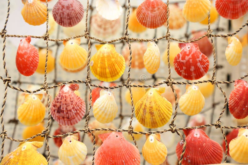 Colored shells stock photo. Image of design, decor, colorful - 87372600