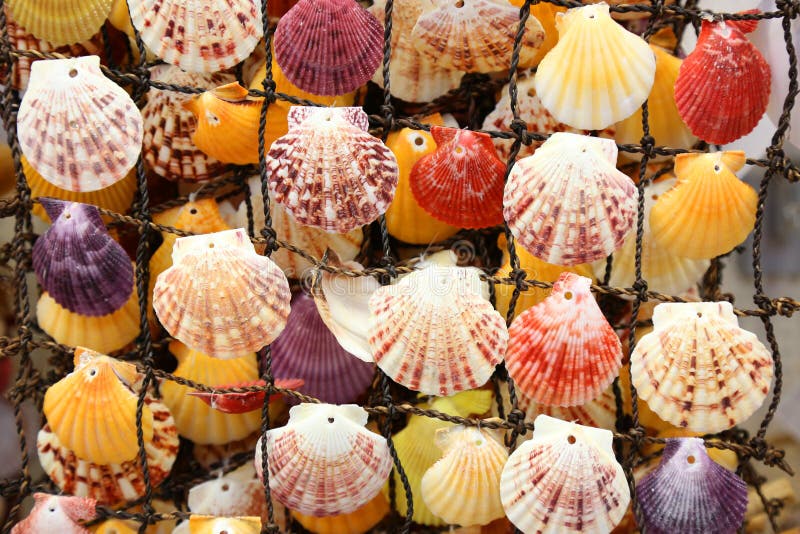 Colored shells stock image. Image of handicraft, detail - 87372857