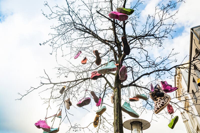 Colored Shoes Hanging on the Tree Stock Photo - Image of barren ...