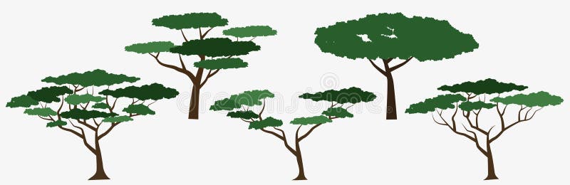 Colored Silhouettes of African Trees. African Trees Stock Vector ...
