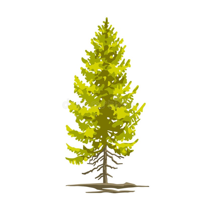 Colored Simple Tree Illustration Fir Tree Pine Vector Stock Vector ...