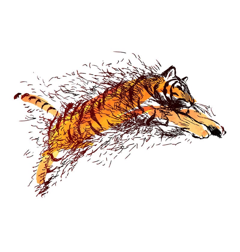 Leaping tiger stock vector. Illustration of print, vector - 94222026
