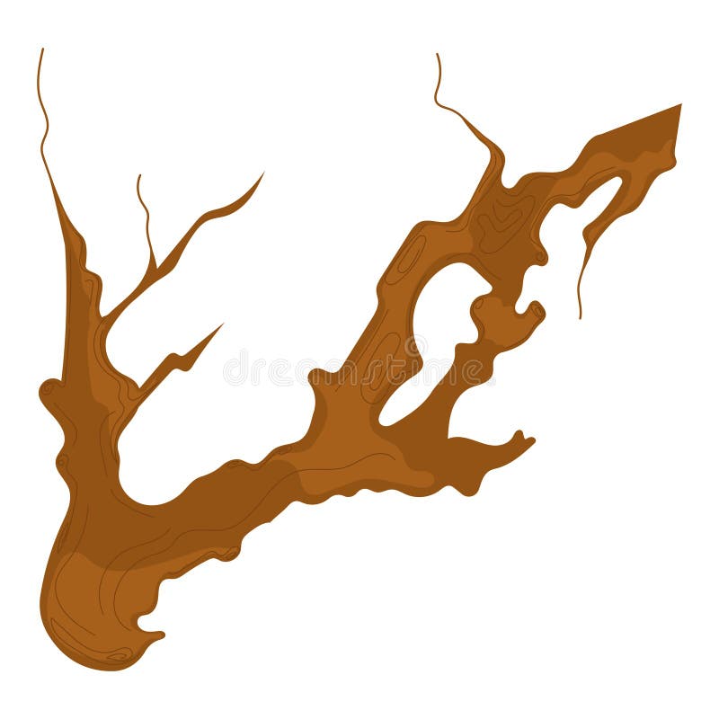 Colored Sketch of a Tree Branch Vector Stock Vector - Illustration of ...