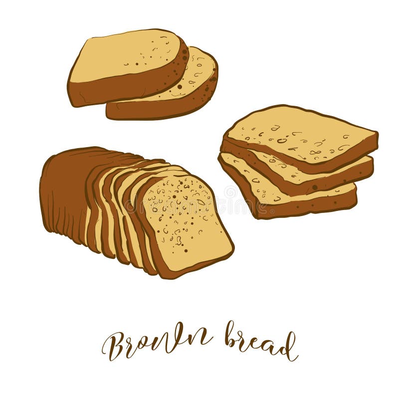 Colored Sketches of Brown Bread Bread Stock Vector - Illustration of ...