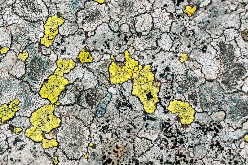 Colored stone texture stock photo. Image of masonry, mineral - 54860936