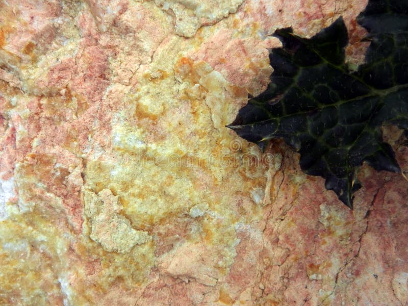 Colored stone texture stock image. Image of moss, uneven - 51369301