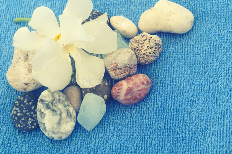 Colored Stones and Beautiful Flower on a Blue Cloth Stock Photo - Image ...