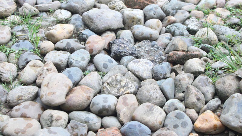 Colored Stones Laid Out on the Ground Dotted with Weeds and Raindrops ...
